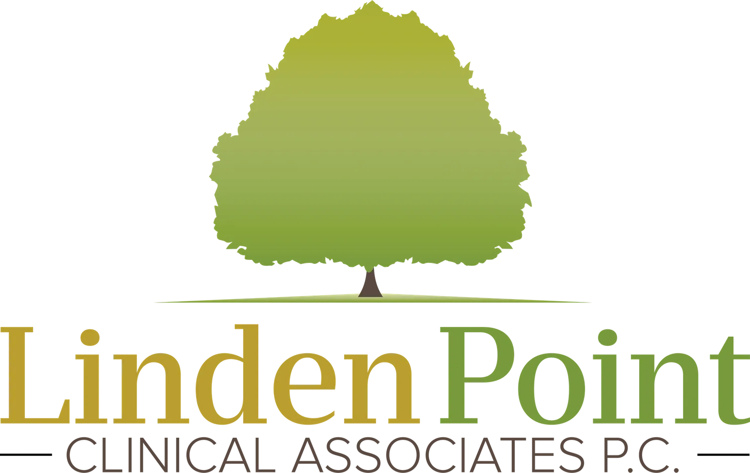 Cora Ritter's Linden Point Clinical Associates secure telemedicine room ...